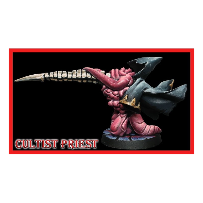 Cultist Priest 28mm RPG miniatures DARKEST DUNGEON
